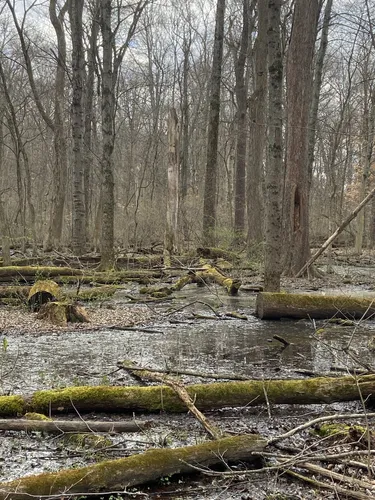 Best Hikes and Trails in Blacklick Woods Metro Park | AllTrails