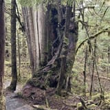 Lunch Falls Trail, Alaska - 87 Reviews, Map | AllTrails