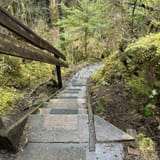 Lunch Falls Trail, Alaska - 87 Reviews, Map | AllTrails