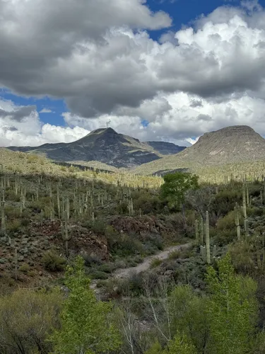 Best River Trails in Spur Cross Ranch Conservation Area | AllTrails