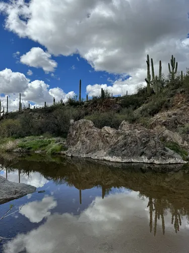Best River Trails in Spur Cross Ranch Conservation Area | AllTrails