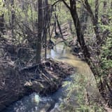 Forney Community Park, Texas - 57 Reviews, Map | AllTrails