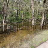 Forney Community Park, Texas - 57 Reviews, Map | AllTrails