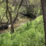 Forney Community Park, Texas - 57 Reviews, Map | AllTrails