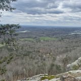 Buzzard's Roost Loop, Georgia - 384 Reviews, Map | AllTrails