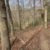 Peter's Creek Heritage Trail, South Carolina - 359 Reviews, Map | AllTrails