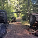 Skookum Flats Trail, Washington - 1,007 Reviews, Map | AllTrails