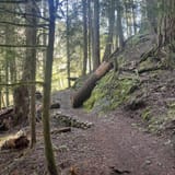 Skookum Flats Trail, Washington - 1,007 Reviews, Map | AllTrails
