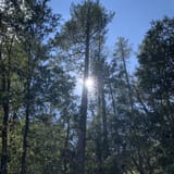 Way of the Mono Trail, California - 483 Reviews, Map | AllTrails