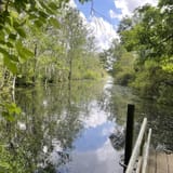 Daubenmire Trail, Florida - 627 Reviews, Map | AllTrails