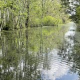 Daubenmire Trail, Florida - 627 Reviews, Map | AllTrails