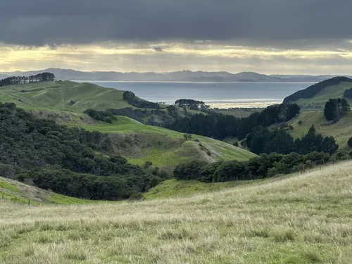 Best Hikes and Trails in Parakai | AllTrails