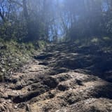 Olmstead Loop and Wendell Robie Trail, California - 2,926 Reviews, Map ...