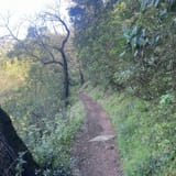 Olmstead Loop and Wendell Robie Trail, California - 2,926 Reviews, Map ...