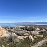 Buffalo Point Trail, Utah - 1,089 Reviews, Map | AllTrails