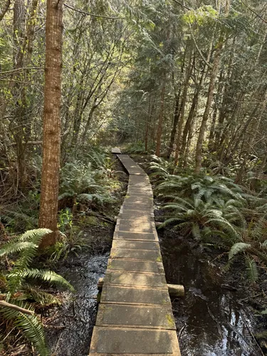 Best Views Trails in Dosewallips State Park | AllTrails