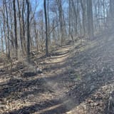Fox Hollow to Dickey Ridge Loop, Virginia - 637 Reviews, Map | AllTrails