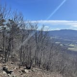 Fox Hollow to Dickey Ridge Loop, Virginia - 669 Reviews, Map | AllTrails