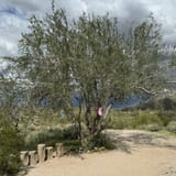 Hawes Ridge Loop, Arizona - 2,800 Reviews, Map | AllTrails