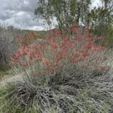 Hawes Ridge Loop, Arizona - 2,800 Reviews, Map | AllTrails
