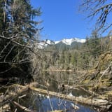 Oxbow Trail, Washington - 604 Reviews, Map | AllTrails