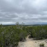Pace Bend Park Trail, Texas - 536 Reviews, Map | AllTrails