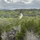 Pace Bend Park Trail, Texas - 536 Reviews, Map | AllTrails