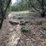 Pace Bend Park Trail, Texas - 606 Reviews, Map | AllTrails