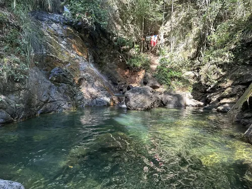 Best Hikes and Trails in Maricao State Forest | AllTrails