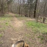 Peter's Creek Heritage Trail, South Carolina - 359 Reviews, Map | AllTrails