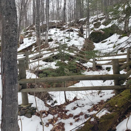 Best Hikes and Trails in Ewen | AllTrails