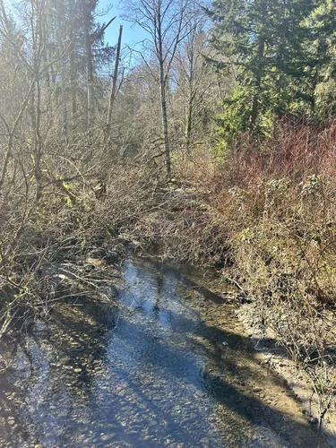 Best River Trails in Tynehead Regional Park | AllTrails