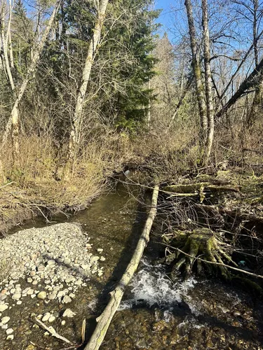 Best River Trails in Tynehead Regional Park | AllTrails
