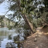 Lake Trahlyta Trail, Georgia - 926 Reviews, Map | AllTrails