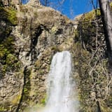 Fall Creek Falls Trail, Oregon - 375 Reviews, Map | AllTrails