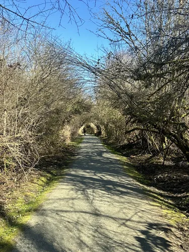 Best River Trails in Tynehead Regional Park | AllTrails