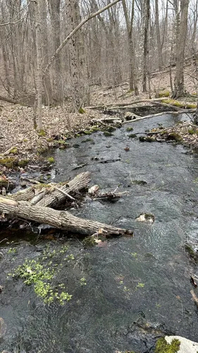 Best Wild Flowers Trails in Mahlon Dickerson Reservation | AllTrails