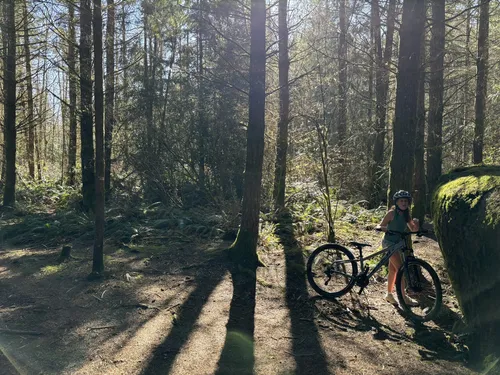 Best Hikes and Trails in Port Gamble Forest Heritage Park | AllTrails