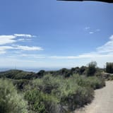 Beaudry Loop, California - 5,014 Reviews, Map | AllTrails