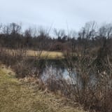 Pequest Wildlife Management Area Trails, New Jersey - 74 Reviews, Map ...