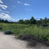 Fullerton Loop, California - 4,066 Reviews, Map | AllTrails