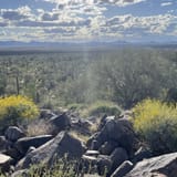 Signal Hill Trail, Arizona - 1,211 Reviews, Map | AllTrails