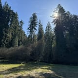 Paradise Point State Park Loop, Washington - 226 Reviews, Map | AllTrails