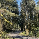 Paradise Point State Park Loop, Washington - 226 Reviews, Map | AllTrails