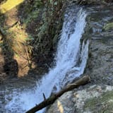 Paradise Point State Park Loop, Washington - 226 Reviews, Map | AllTrails