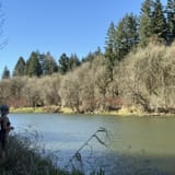 Paradise Point State Park Loop, Washington - 226 Reviews, Map | AllTrails