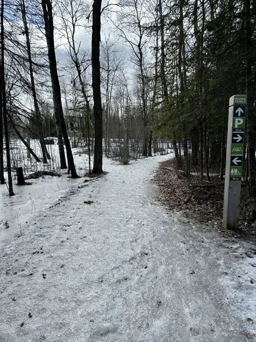 Best Trail Running Trails in Pinawa's Trans Canada Trails | AllTrails