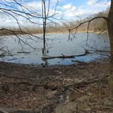 Flat Fork Ridge Trail, Ohio - 1,215 Reviews, Map | AllTrails