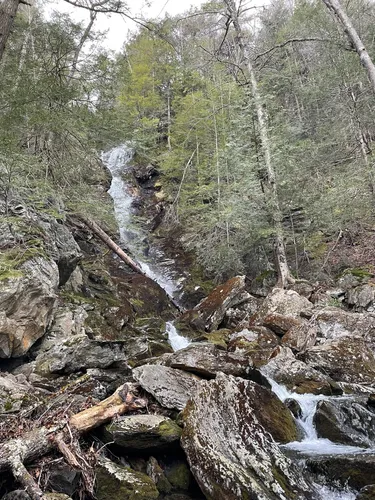 Best Camping Trails in Mount Riga State Park | AllTrails