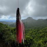 Cross Island Track and The Needle, Rarotonga, Cook Islands - 218 ...